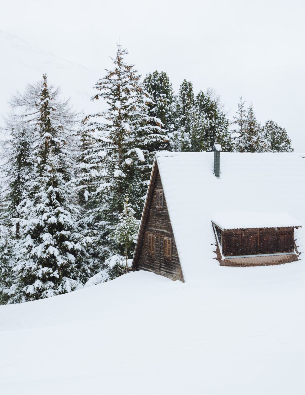 How Can I Construct A Sustainable Shelter In A Snow-covered Environment?