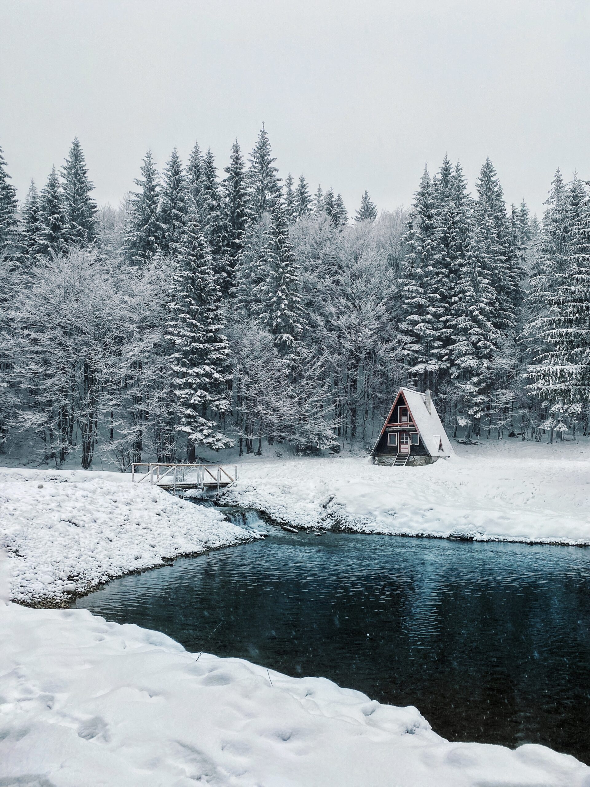 How Can I Construct A Sustainable Shelter In A Snow-covered Environment?